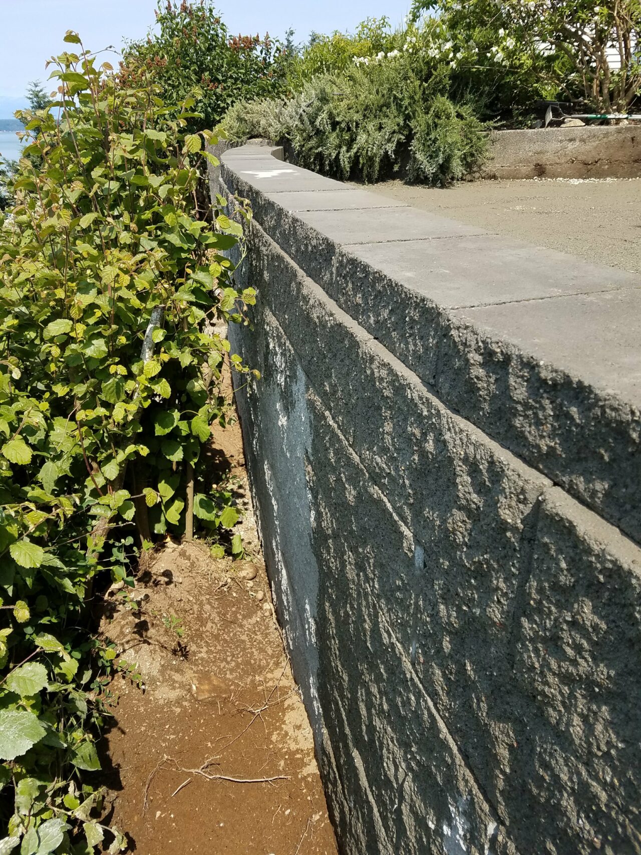 Sustainable Landscaping Seattle WA | Irrigation | Patios & Fences