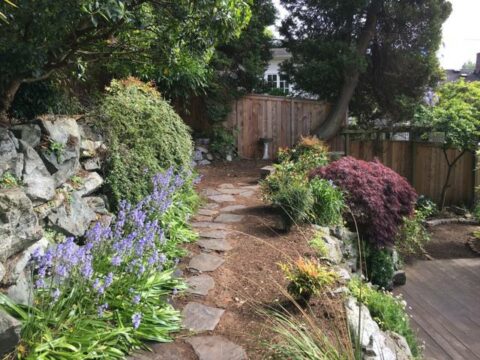 Yard Maintenance, Lawn Care & Yard Clean-Up in Seattle WA