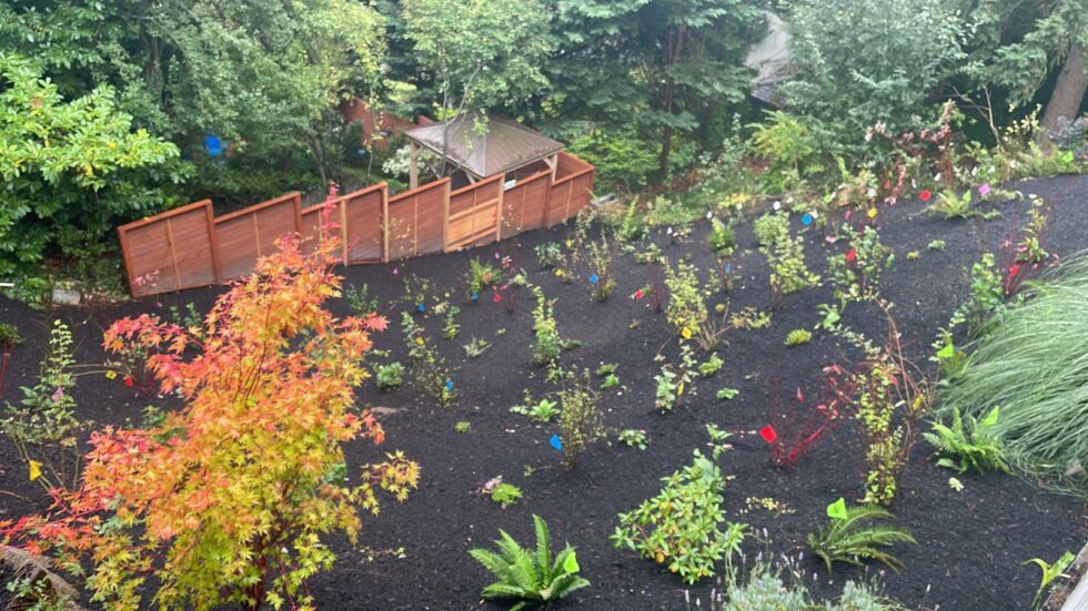 Sustainable Landscape Design in Seattle | Seattle Landscapes