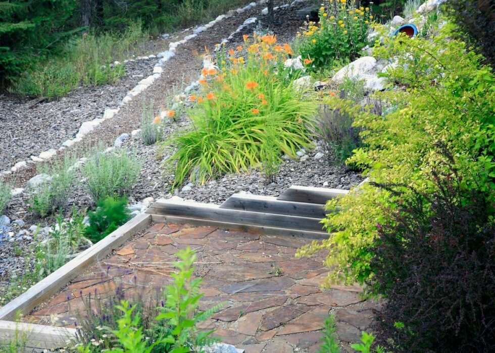 Xeriscaping Seattle WA | Xeriscaping Ideas | What is Xeriscaping?