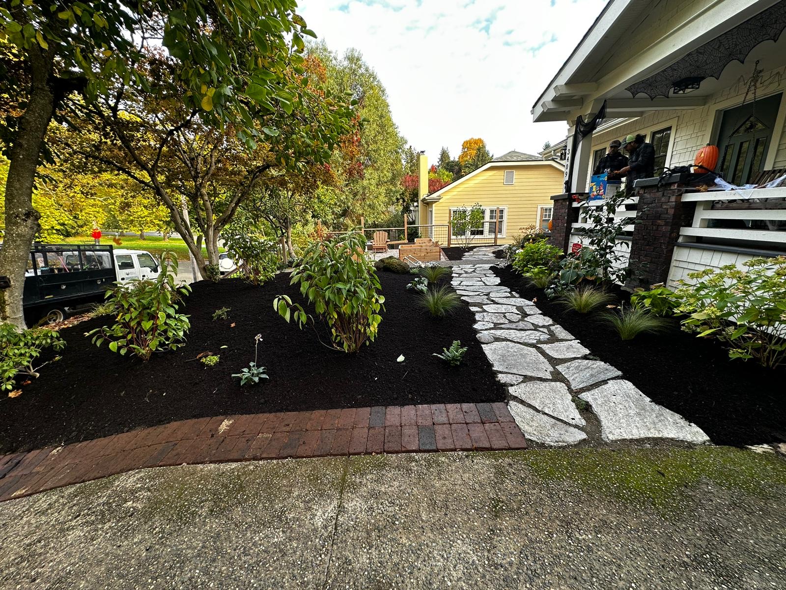 What are the Most Invasive Plants in Seattle?